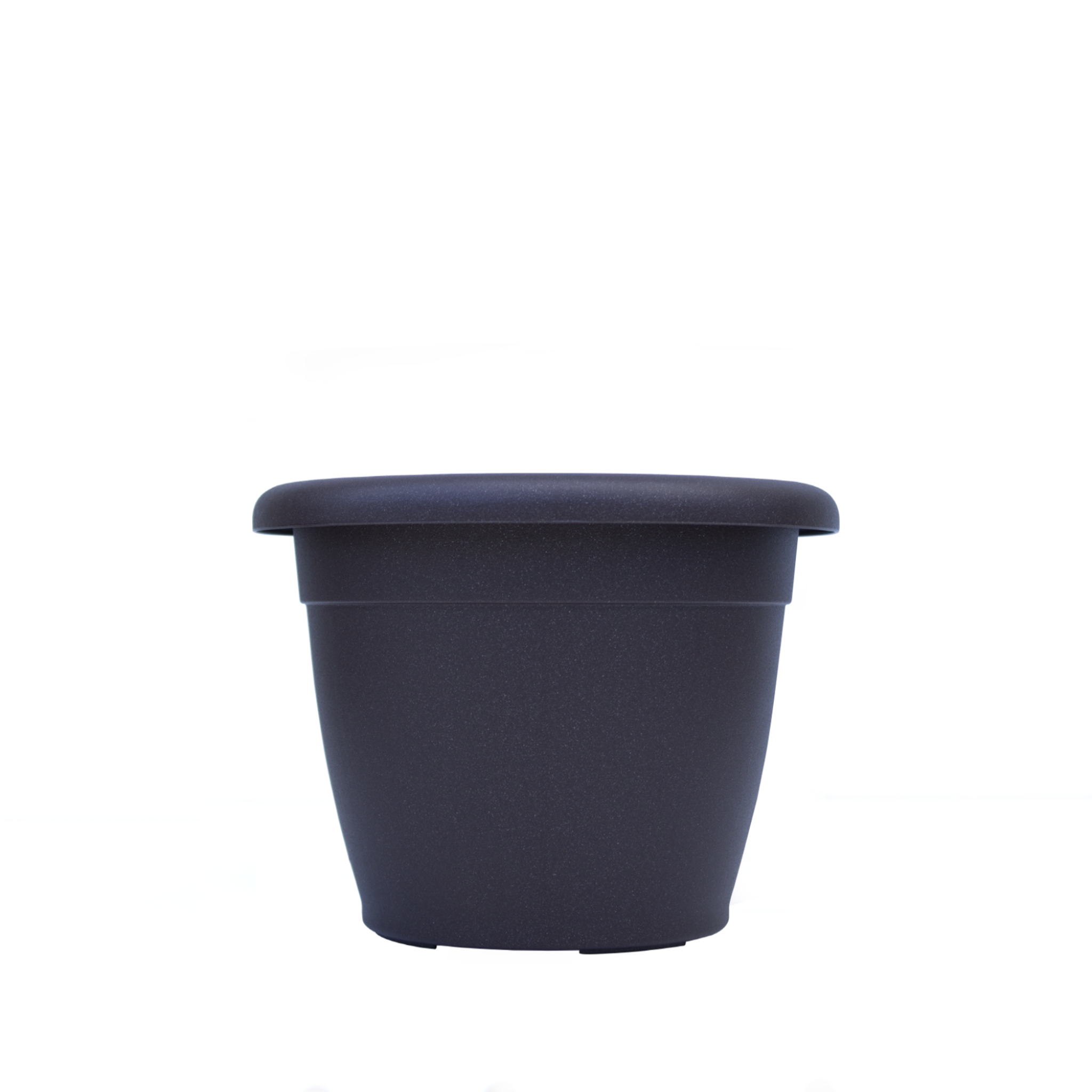 Online Plants Store Limassol - Cyprus - Naxos Pot – cybloom